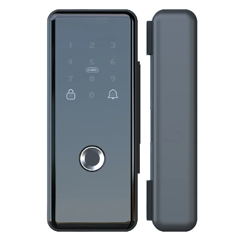 Frameless Remote Control Digital Sliding Swing Door Smart Lock for ...