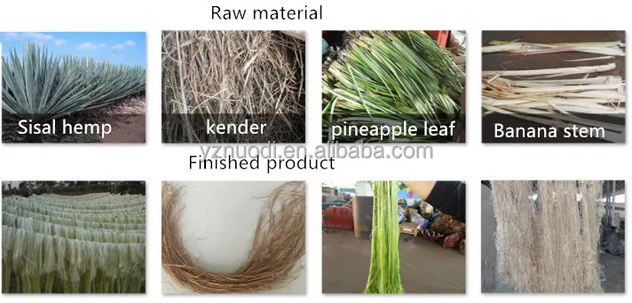 Banana Fibre Extraction Machine - Efficient & Easy to Use