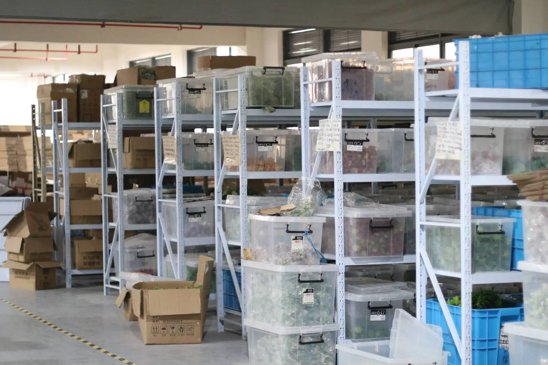 6-piece Wholesale Custom Fake Plastic Lit Puff Cigarettes Flavored ...