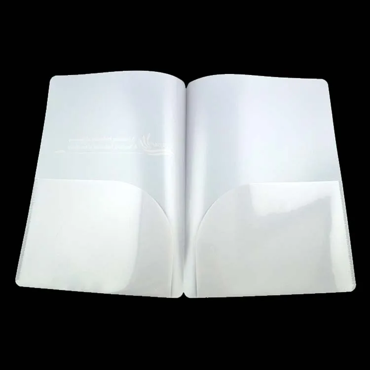 Custom Logo Printed A4 Size Pp Plastic File Folder With 2 Pockets - Buy ...