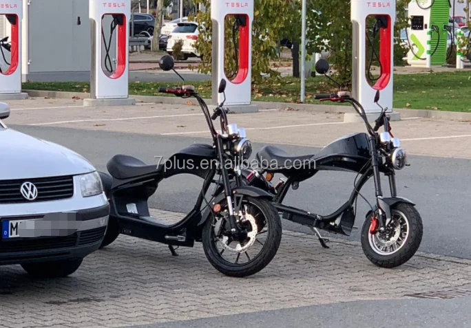 4000W Three Wheeler Electric Citycoco Tricycle E Scooter
