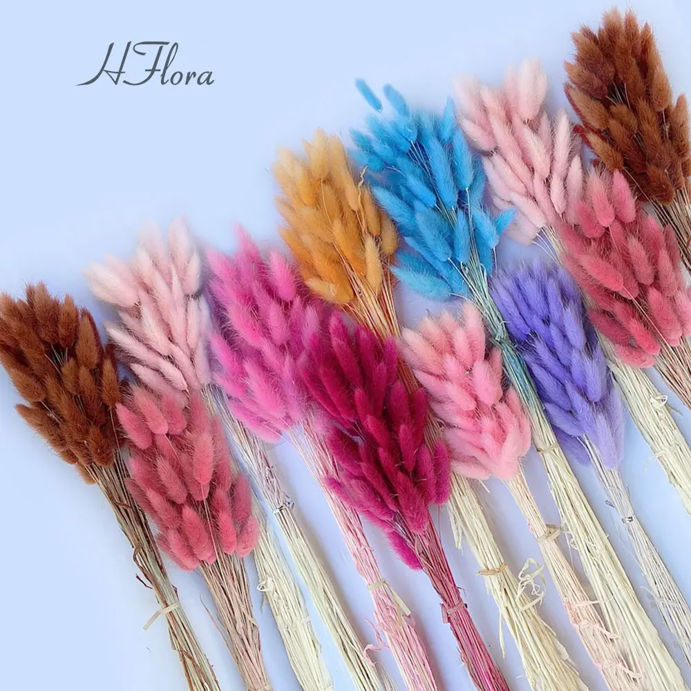 Decorative Natural Plant Flowers Bunny Rabbit tails Grass Lagurus ...