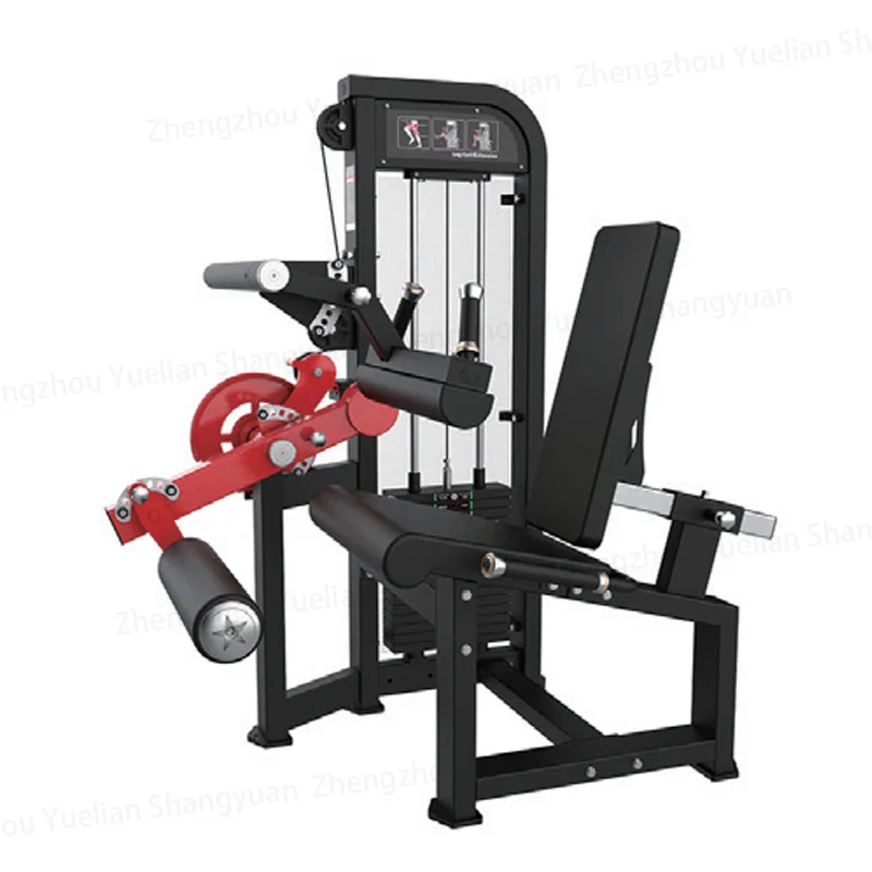 Heavy Duty Commercial Leg Extension Machine for Quadriceps Development ...