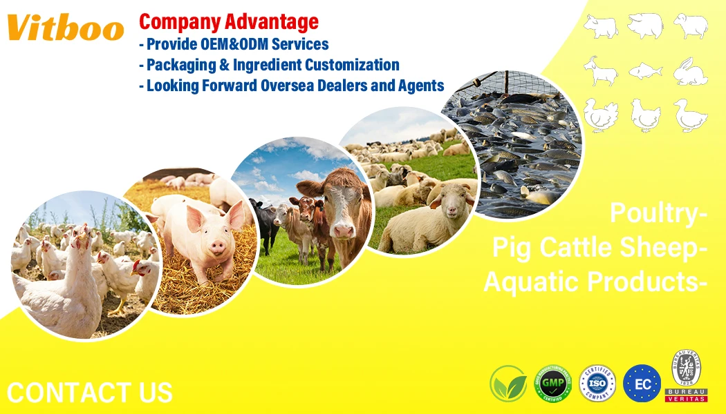 Vitboo Liquid Multivitamins - Essential Livestock Supplement