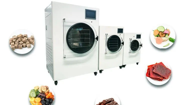 1-12kg Vacuum Fruit Freeze Drying Dried Machines Mini Vegetables ...