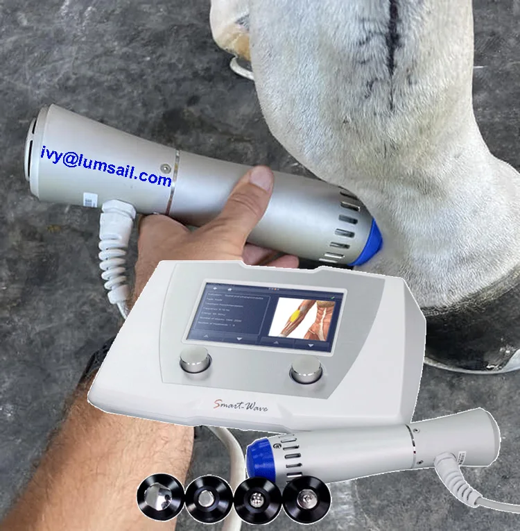 Shock Wave Horses - Advanced Veterinary Care Solutions