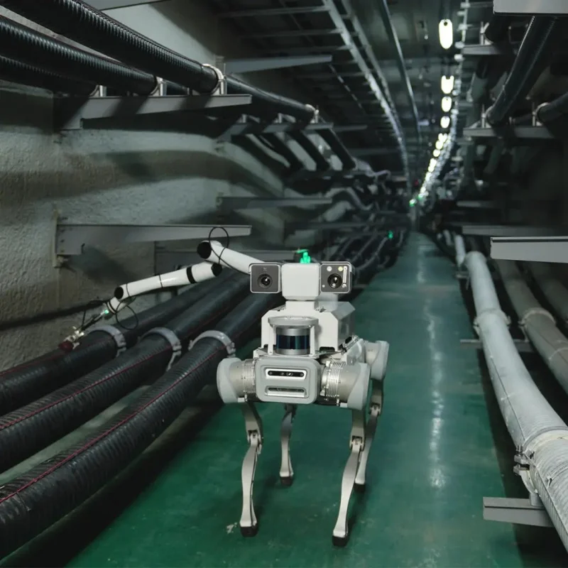 AI Visual Recognition Functions Through Programming Based on Raspberry ...