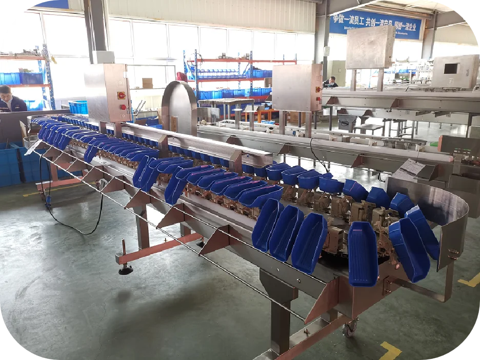 Whole Chicken Sorting Weight Food Grading Weighing Scale| Alibaba.com