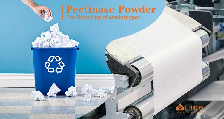 Bulk Pectin Enzyme Powder Pectinase - Clarify Juice Making with Quality ...