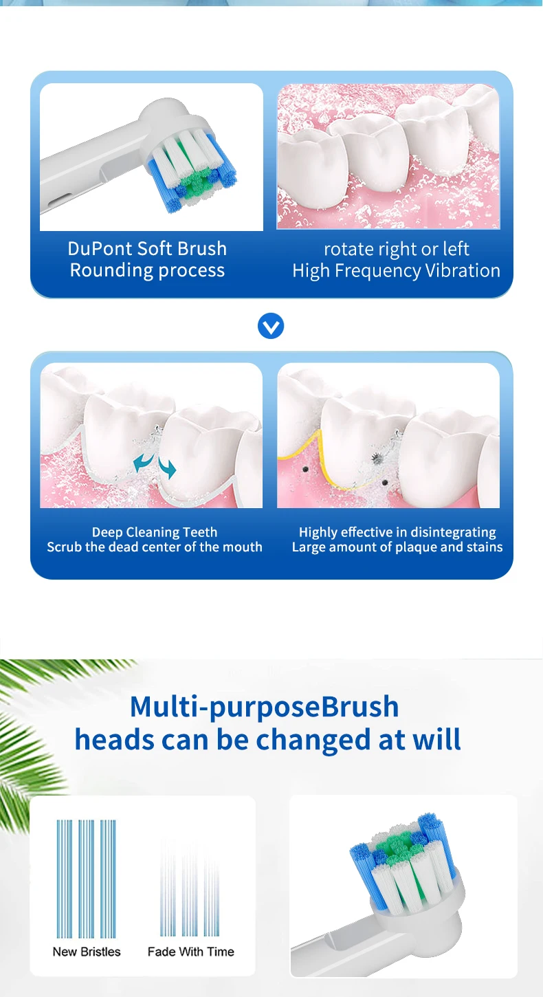 Wholesale Oem Sonic Round Head Electric Toothbrush with 2 Brush Heads ...