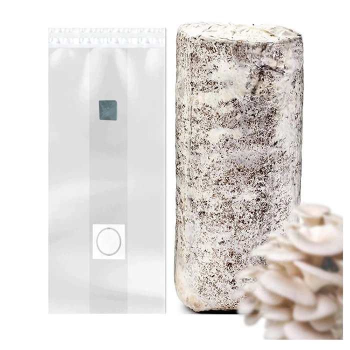 Mycelium cultivation Injector Port myco Substrate Filter Patch Fungus ...