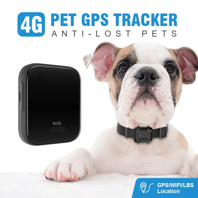 New Arrivals Eview Ev201 Pet Tracer Gps Activity Monitor Dog Gps Tracking Collar - Buy Pet ...