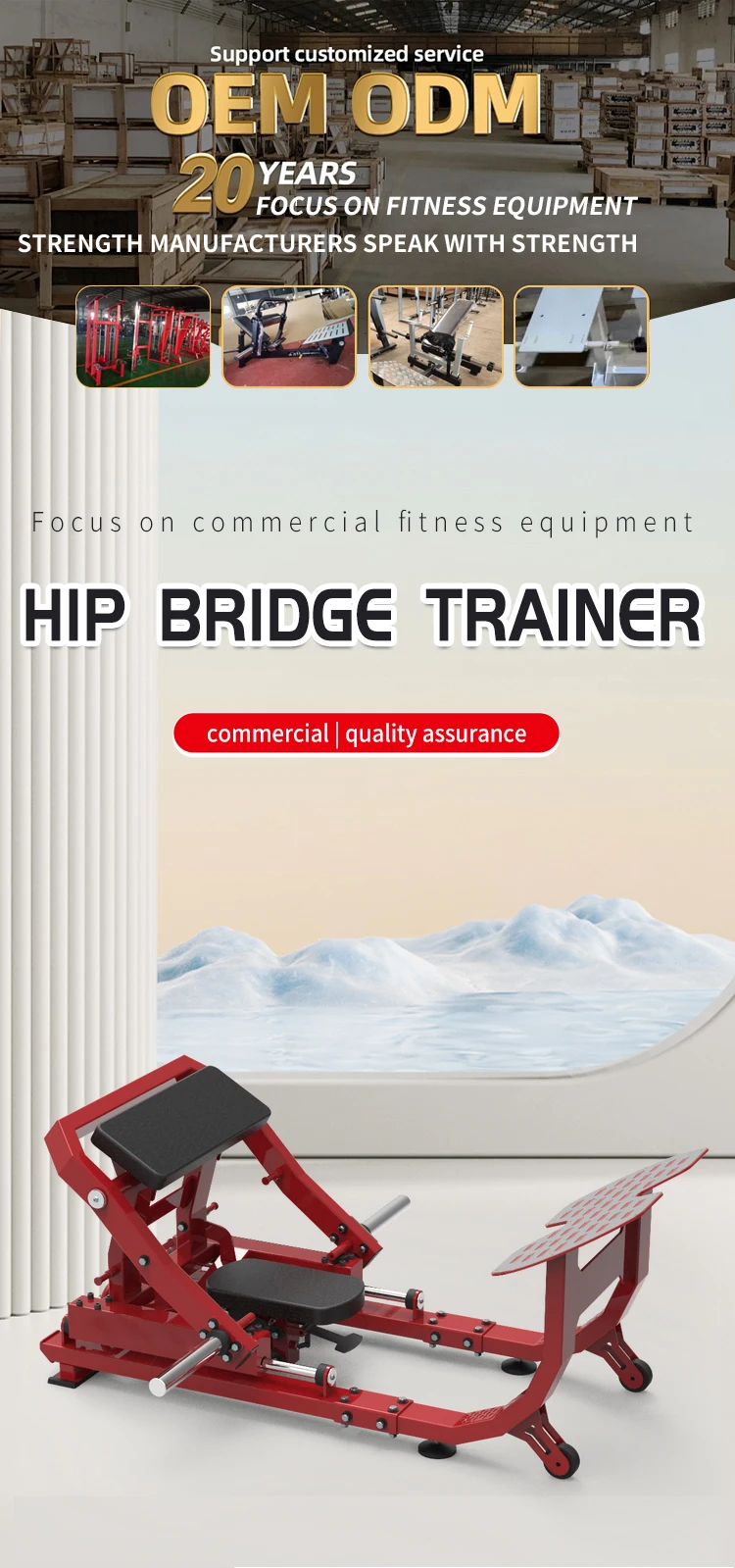 Customized Commercial Gym Solutions Multi Functional Glute Machine For ...