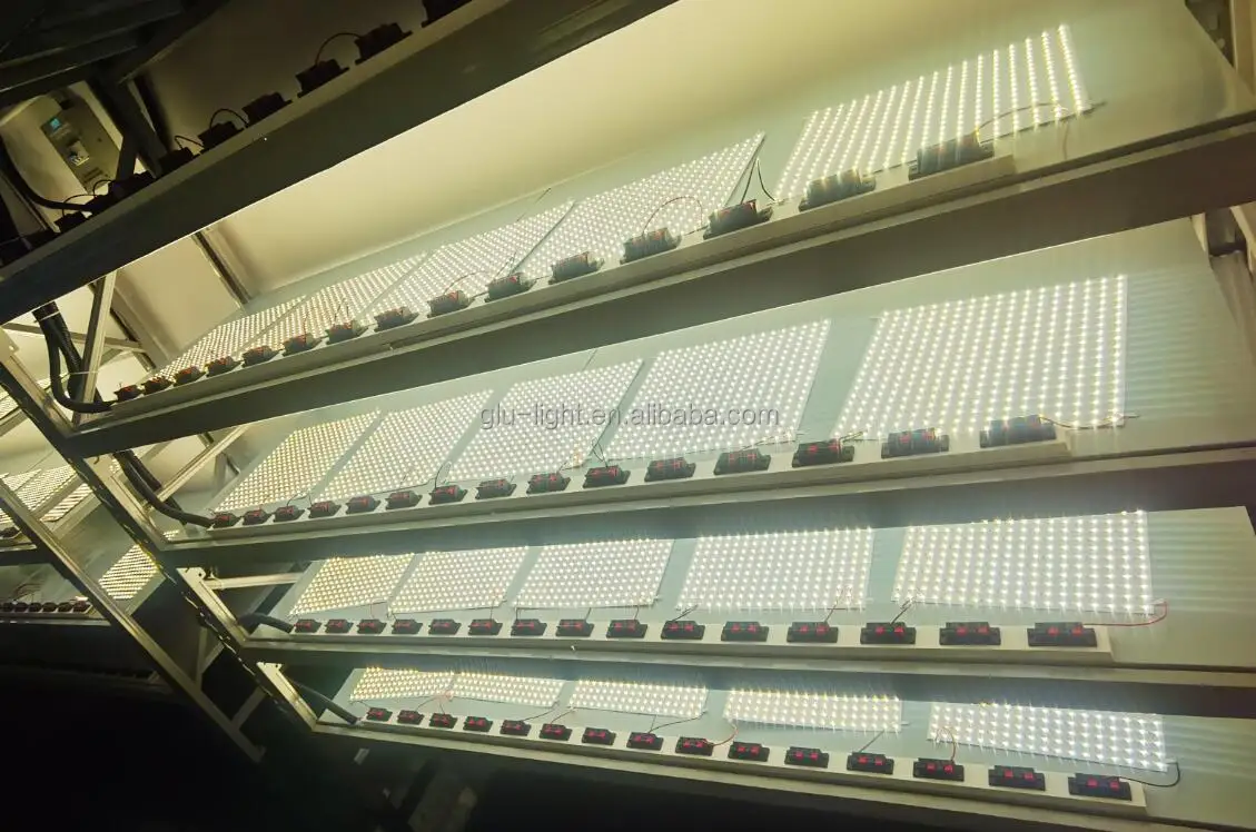 24V 5630 Flexible Led Panel Light Hybrid Cct Bi Color Ra95 High Cri Led ...