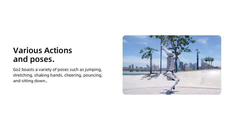 Unitree Go2 Pro - Intelligent AI Robot Dog for Fun & Education