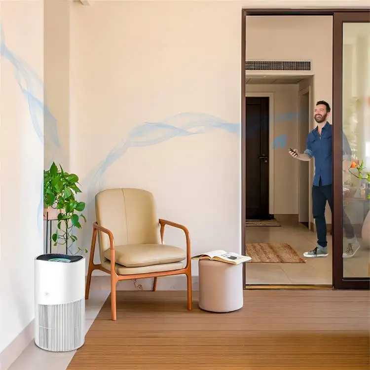 Commercial Household Electrostatic Oxygene Air Purifier Home Pm 2.5 ...