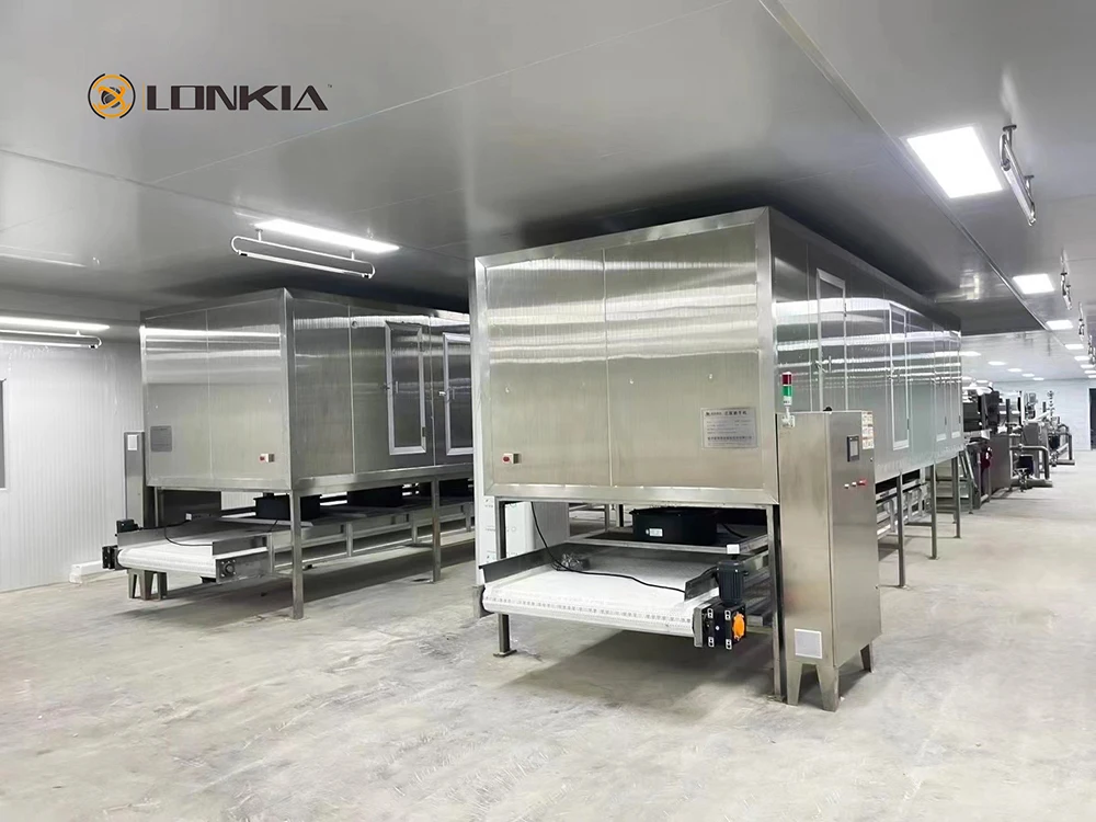 Alibaba.com: Automatic 1000kg/h Dried Fruit and Vegetable Production ...
