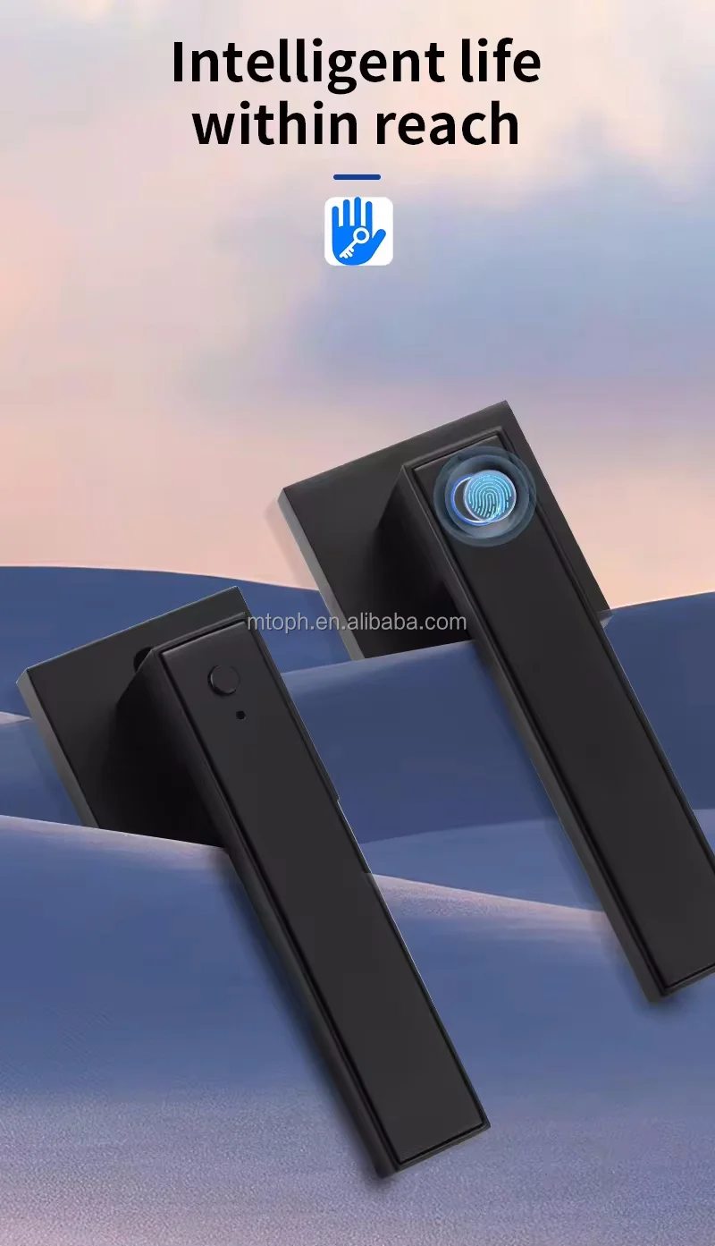 Mtoph 2024 High Security Anti Theft Ttlock Tuya App Smart Lock Keyless ...