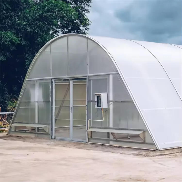 Sun Dryer Poly Single Tunnel Green House - Solar Drying