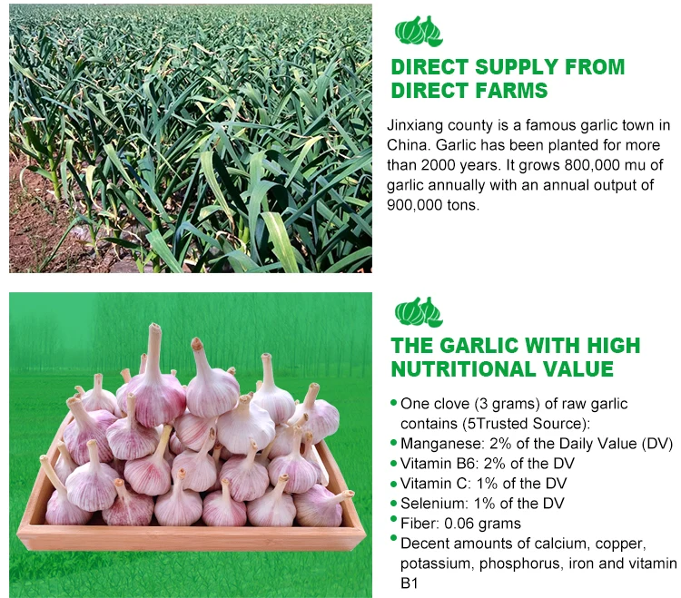 Optimum New Crop Fresh Garlic /chinese Garlic Supplier/10kg/mesh Bag ...