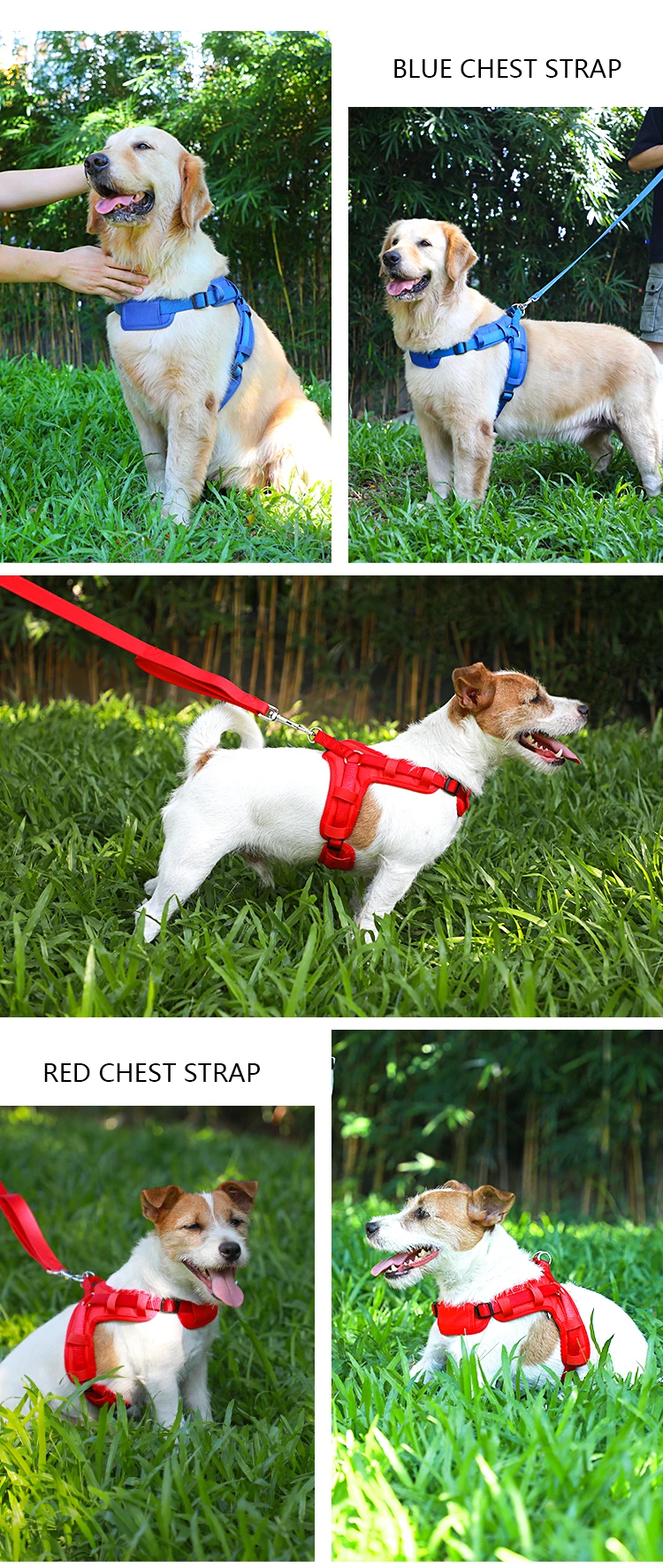 Custom Logo Pet Dog Safety Harness - Soft Padded & Adjustable
