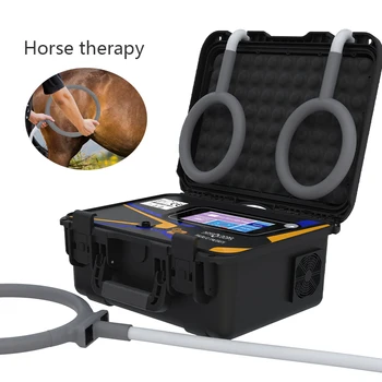 Extracorporeal Magneto Transduction Pain Relief Physiotherapy Equipment ...