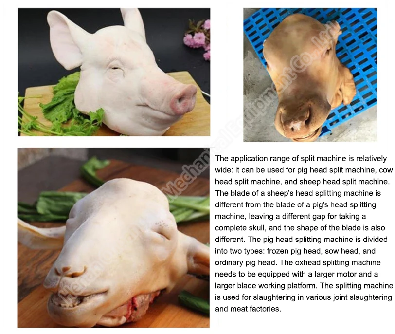 Cow Head Splitter Cutter Sheep Head Half Separating Machine Pig Head ...
