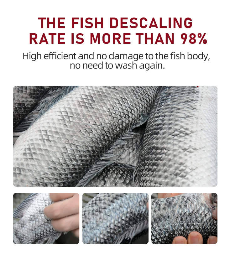 Multifunctional Automatic Tilapia Fish Descaler Descaling Scaling And ...