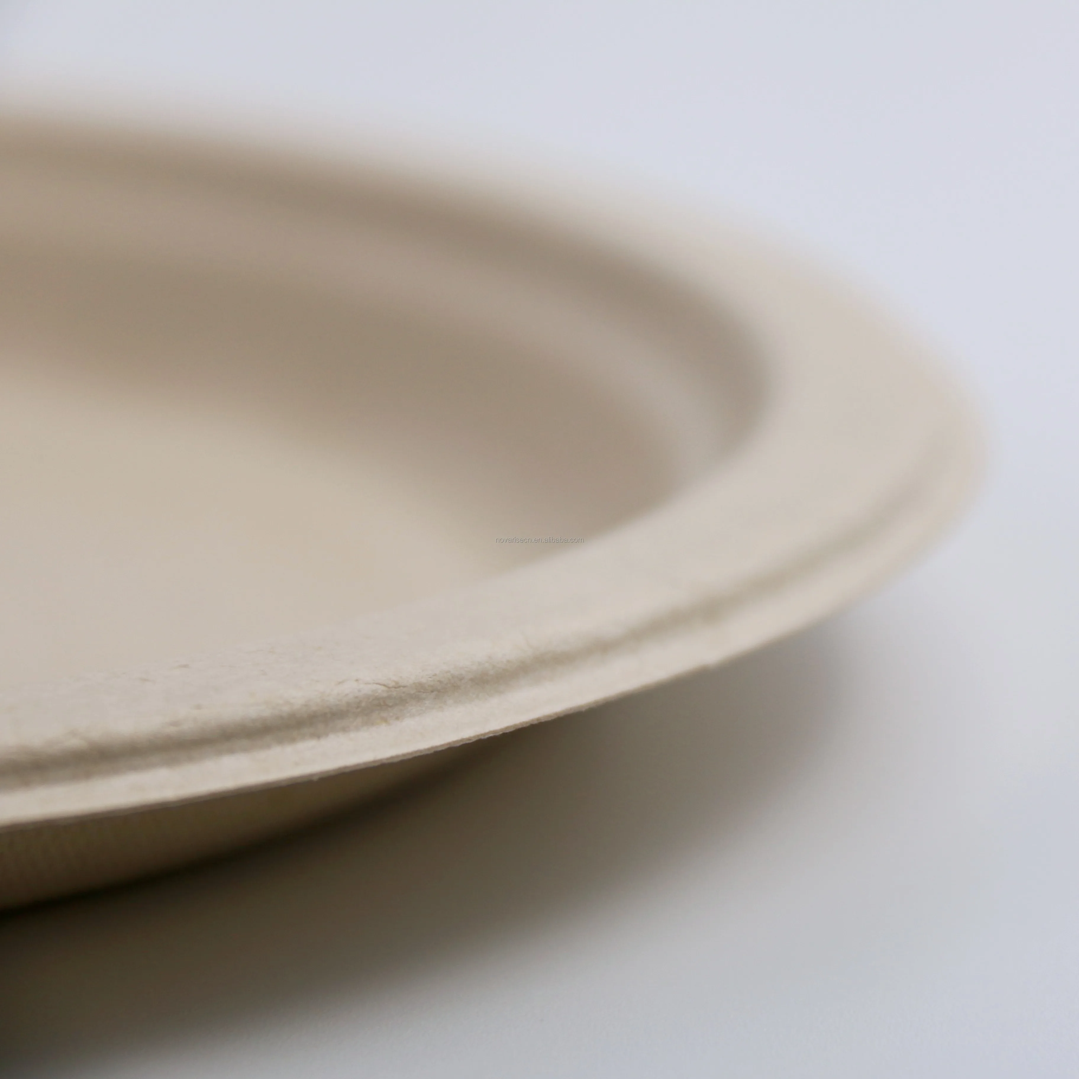 Disposable Biodegradable Plates Sugarcane Bagasse Paper Pulp Mould 6 ...
