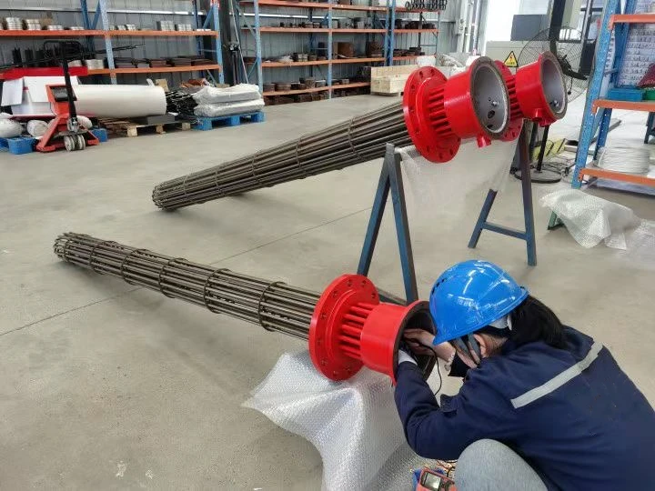 Explosion-proof Immersion Heater with Thermostat for Industry