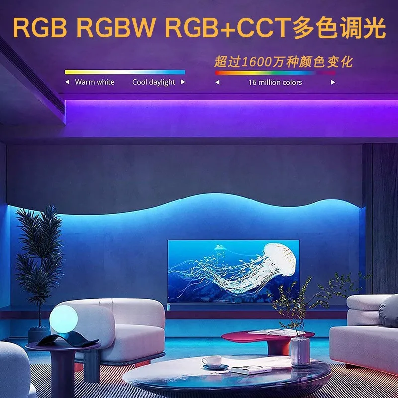 New Project Installation Dream Color Led Strip Light IP20 IP67