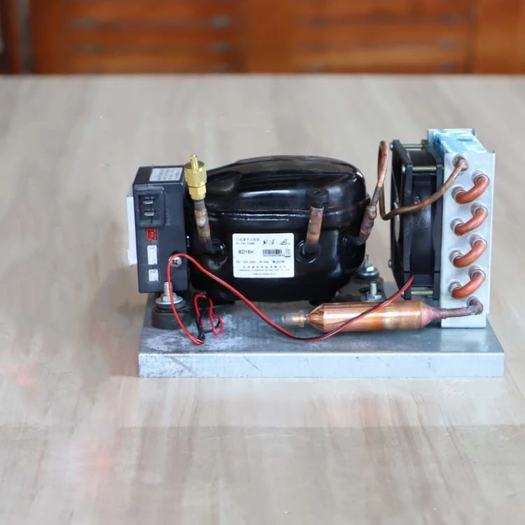 Mini Condensing Unit BD15HC - Efficient Micro Refrigeration