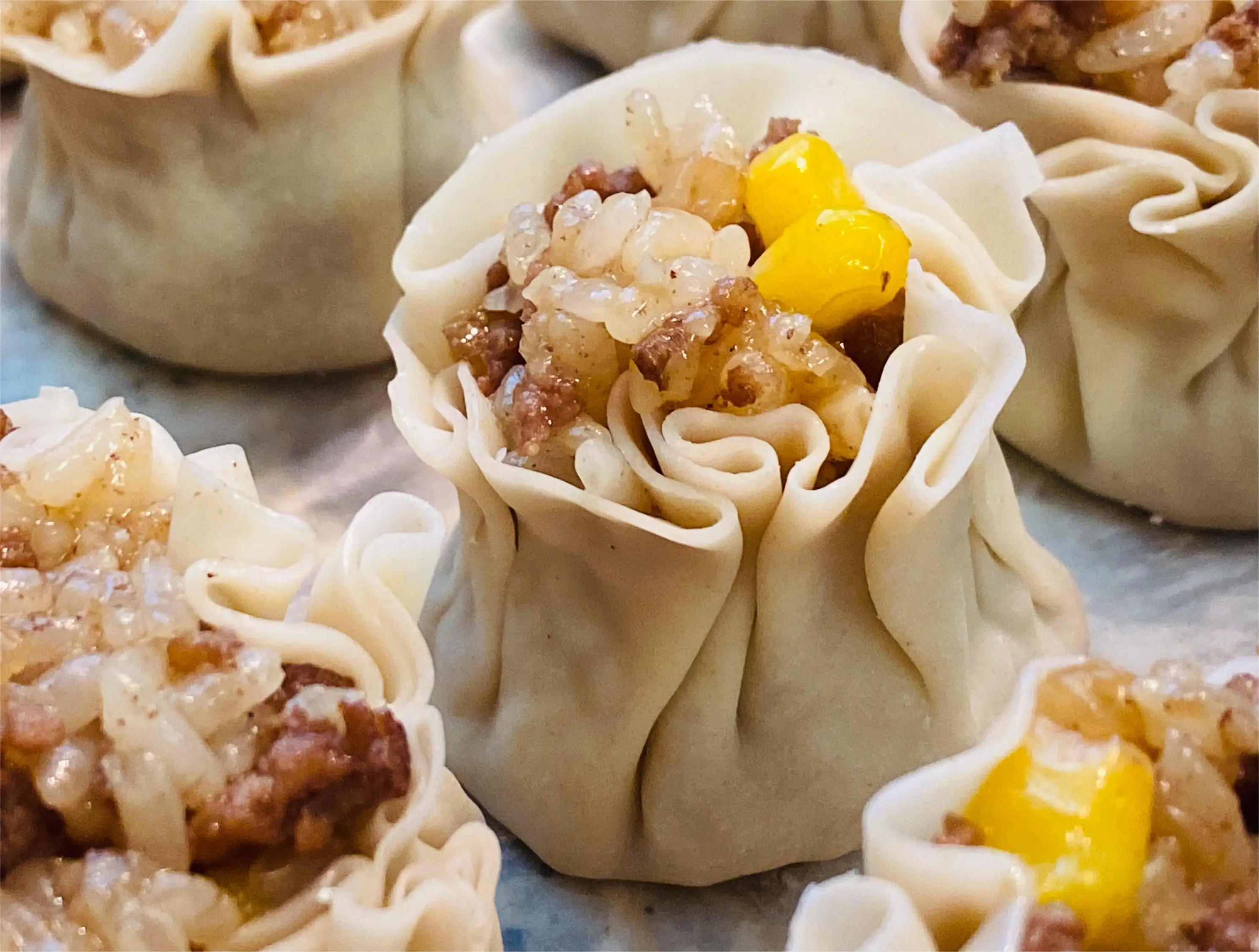 Wholesale Halal Frozen Samosa - Chicken Shumai Steamed Bun
