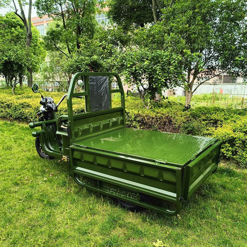 Alibaba.com: EU COC EEC Certified Electric Cargo Tricycle, 3 Wheel Bike ...