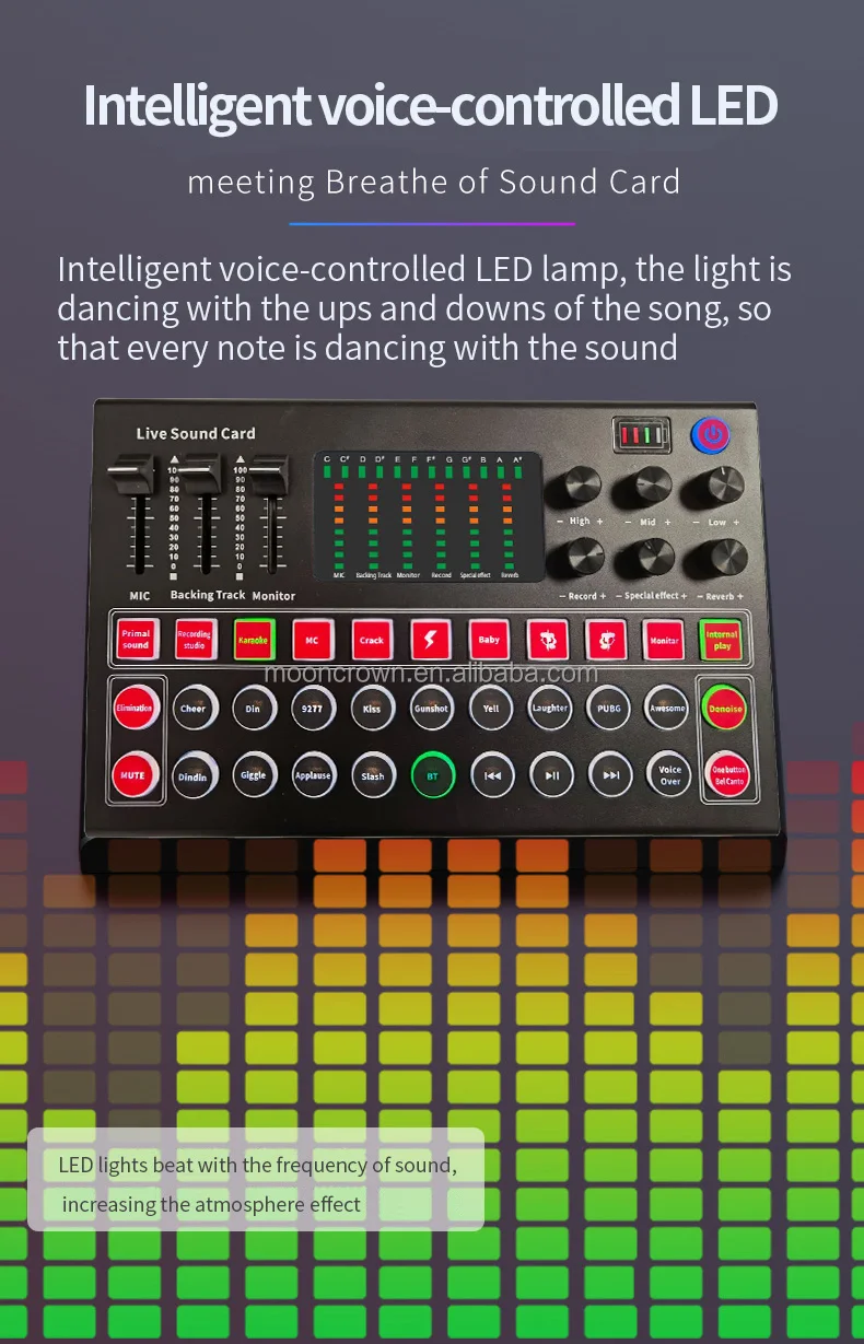 M9 Sound Card with Bm800 Microphone - Professional Recording