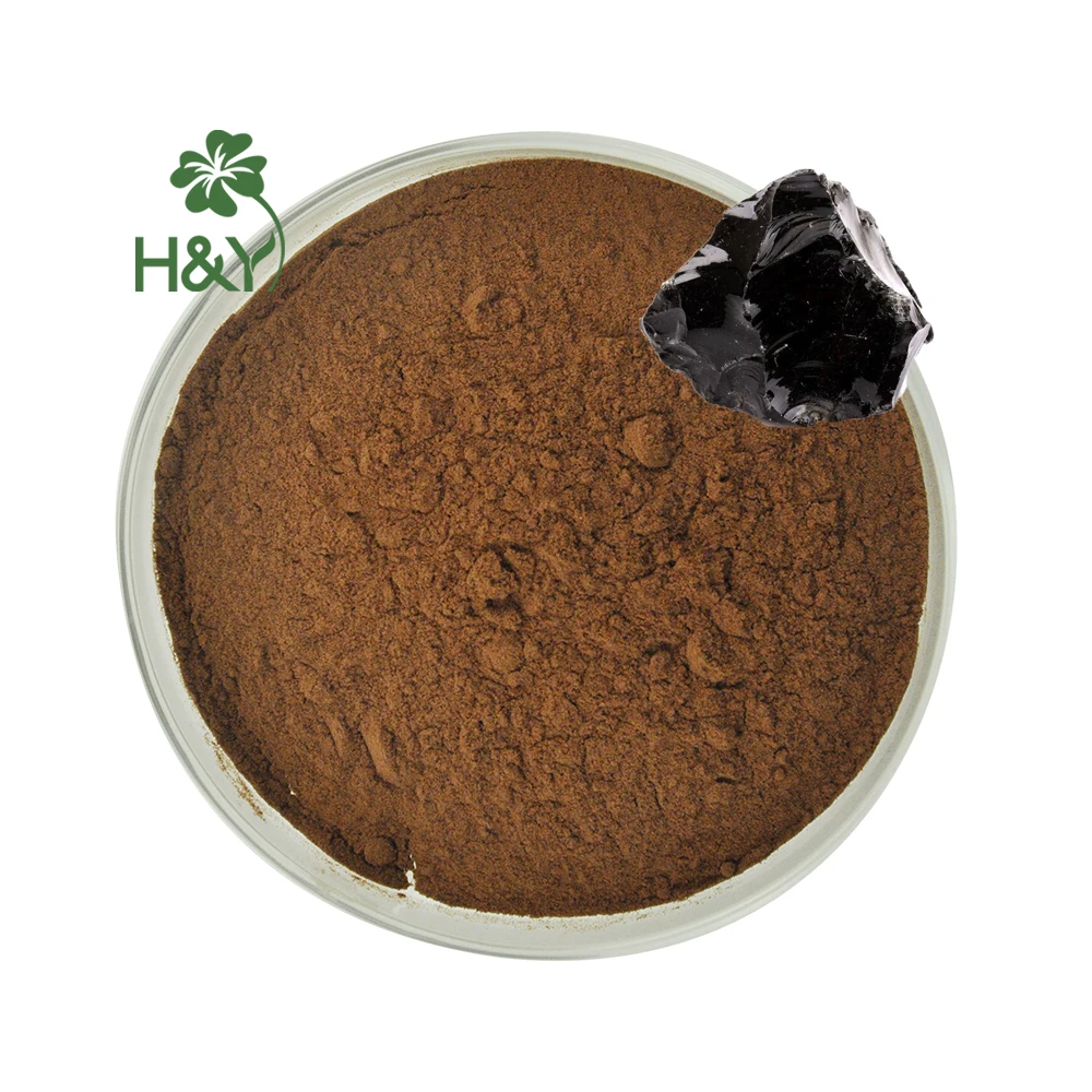 Shilajit 100% Pure Powder Shilajit Extract Powder Shilajit Capsules ...