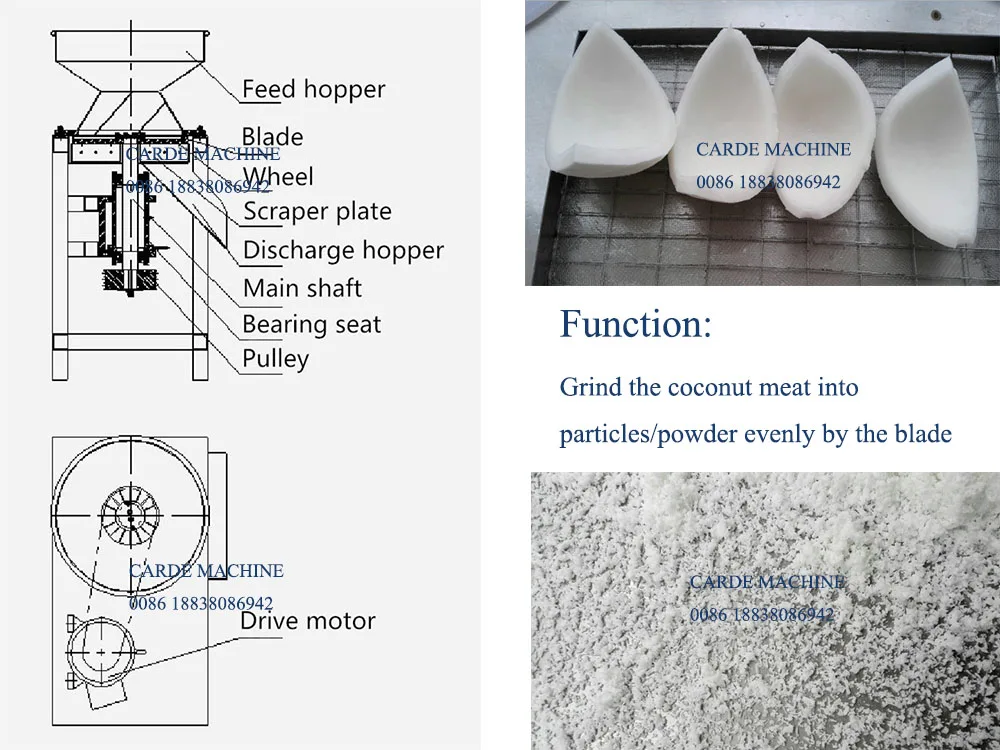 Industrial Coconut Breaking Machine - Efficient Grating