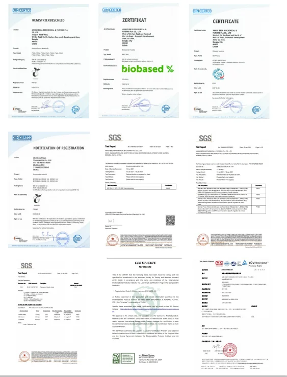 Certificate.png