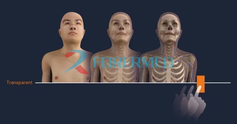 3D Virtual Autopsy Table - Advanced Human Anatomy System