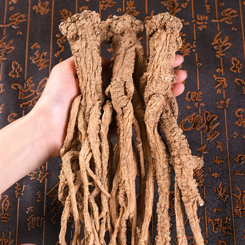 Codonopsis Wholesale Chinese Herbal Medicine Codonopsis Dried Health ...