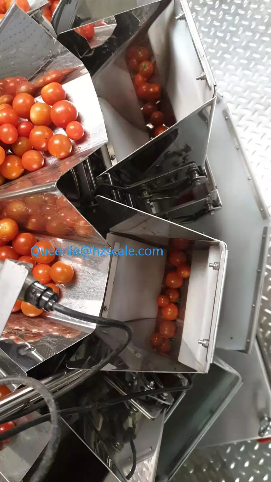 Automatic Cherry Punnet Plastic Clamshell Container Filling Machine for ...