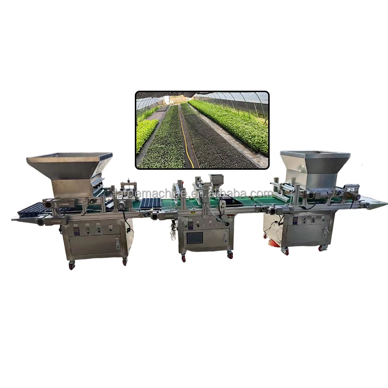 Burrow Seedling Machine Vegetable Automatic Seedling Sowing Machine ...