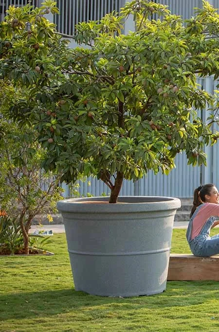 OEM ODM Factory Customize Garden Rotomolding Large Big Size Tree Plant ...