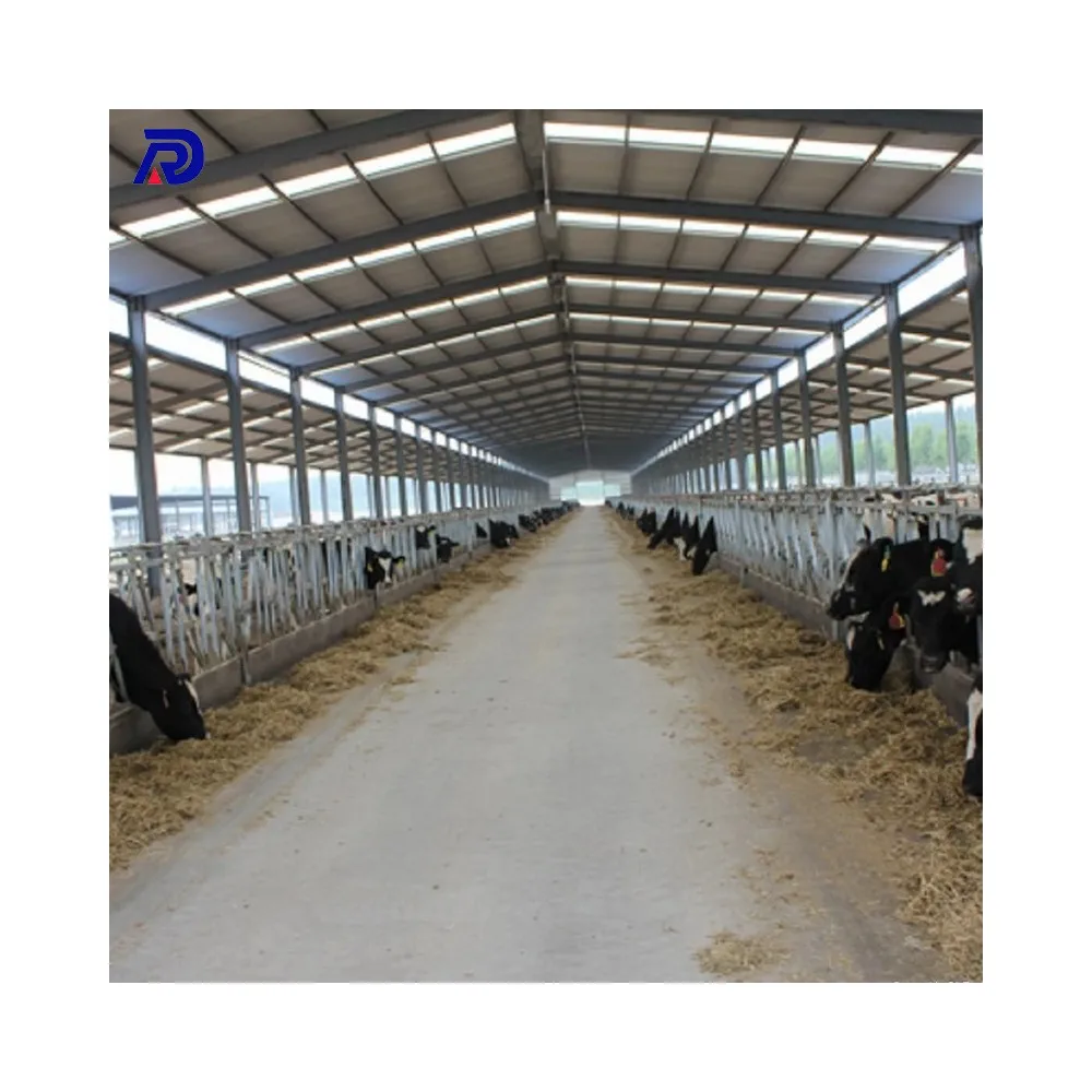 Single Row Prefabricated Cow Shelter Prefab Cow Shed Steel Structure ...