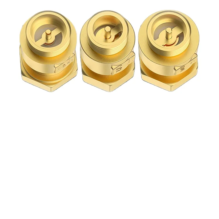 Brass Spring Vertical Check Valves Behind Of Water Meter Brass Non ...