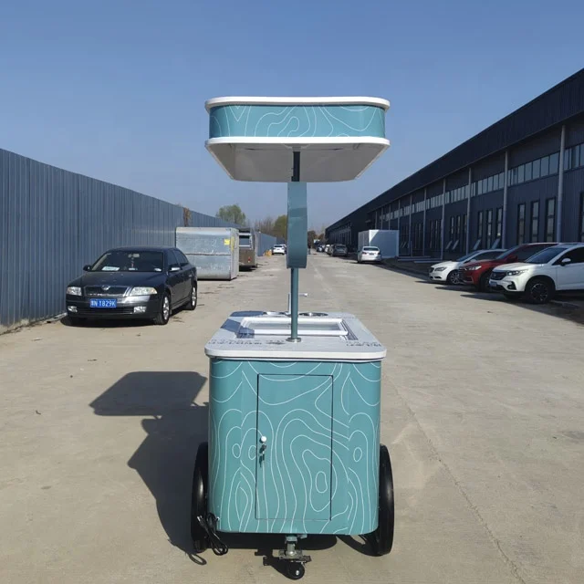 2025 Popular Carrinho De Gelados Vending Cart Ice Slush Push Ice Cream ...