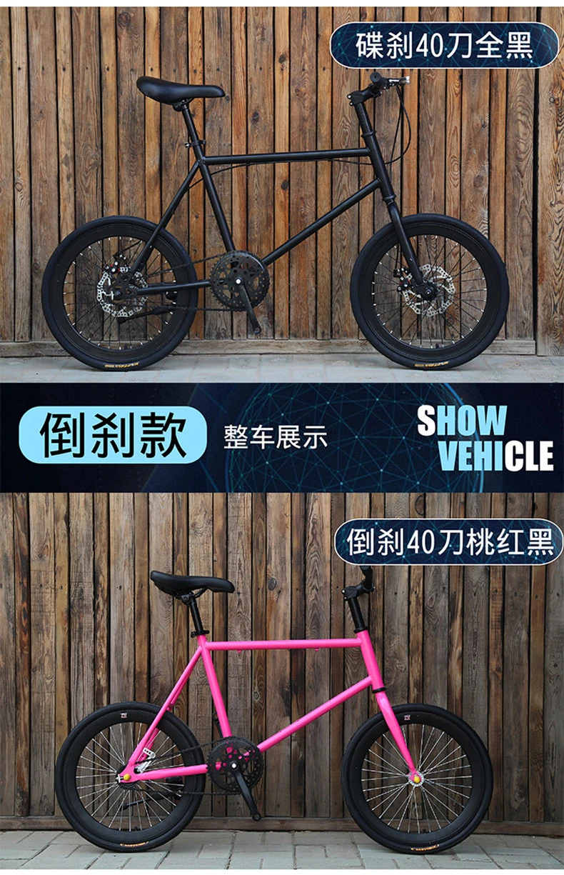Mini Girls Fixed Gear Bike - Fashionable 20 Inch Fixie