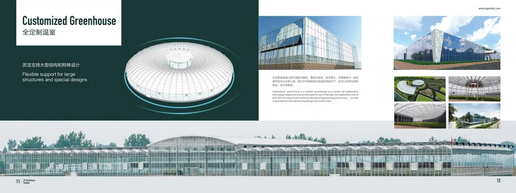 JP Professional Small Greenhouse Fertigation System