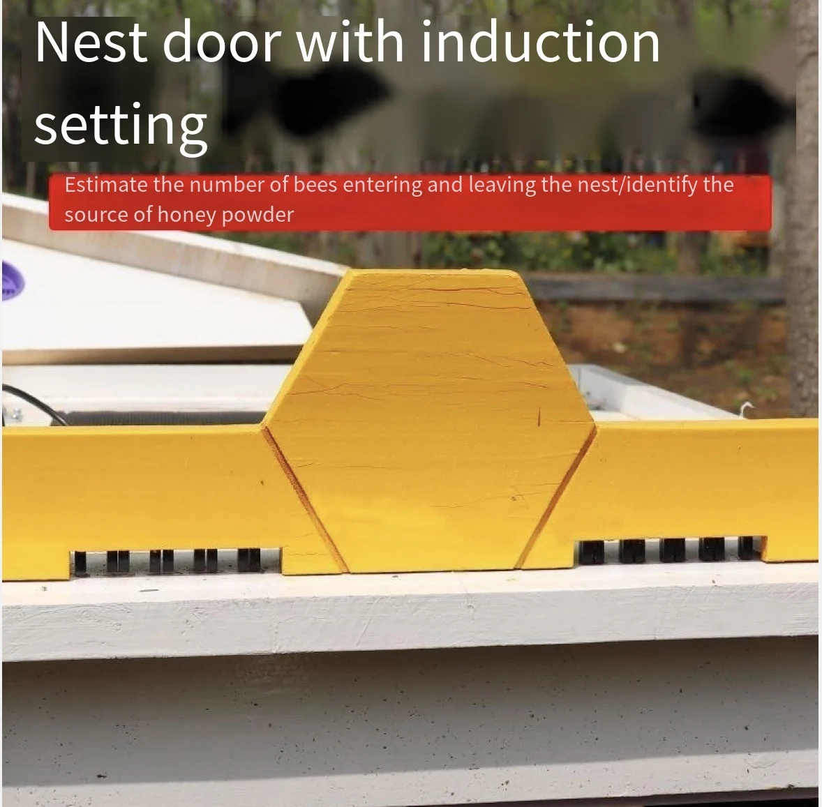 Automatic Self-flowing Bee Hive Apiculture Beekeeping Beehive Bee Hive ...