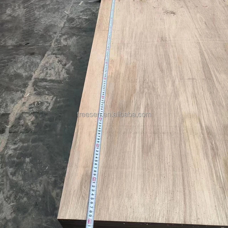 F22 Structural Brace Bracing Ply 4mm Eucalyptus Plywood for Building ...